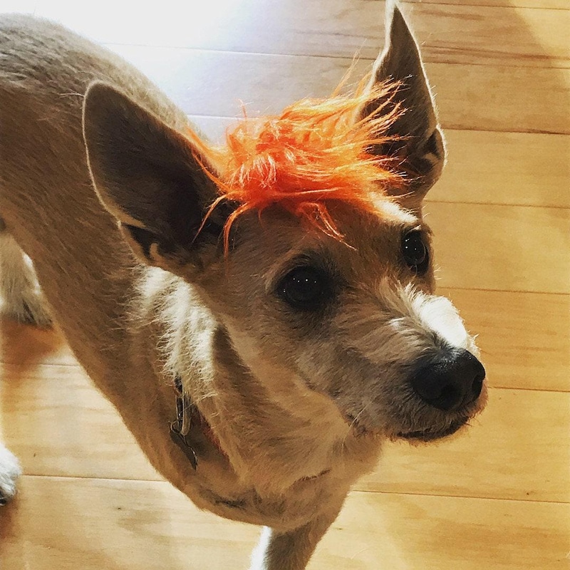 Red Hair Mohawk - Etsy