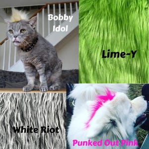 Cat Mohawk - Etsy