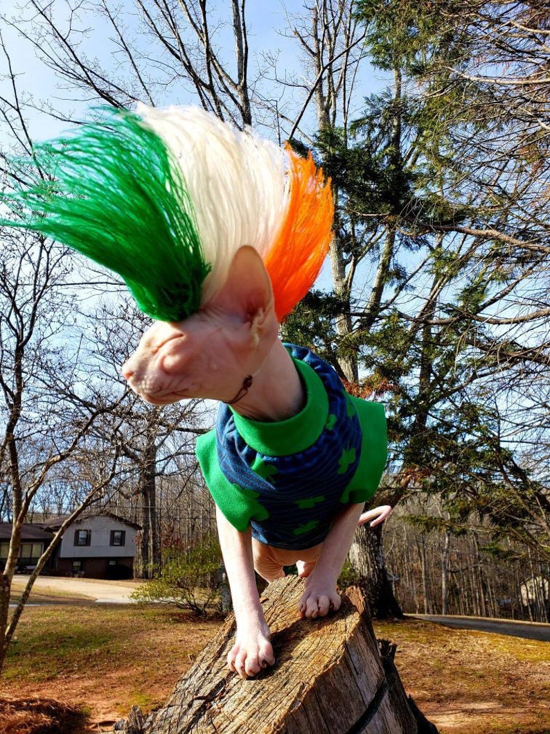 Irish Rocker Mohawk | Etsy