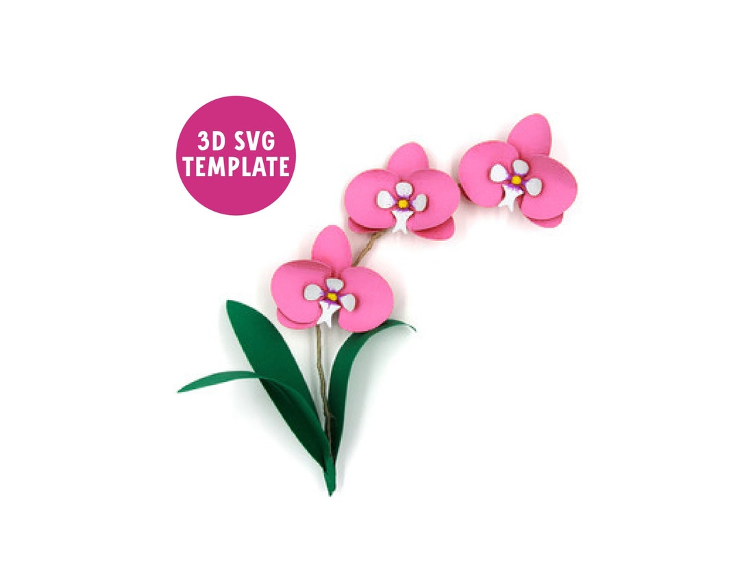 SVG - Orchid 3D Flower Template, Orchid Flower Svg, INSTANT Download ...