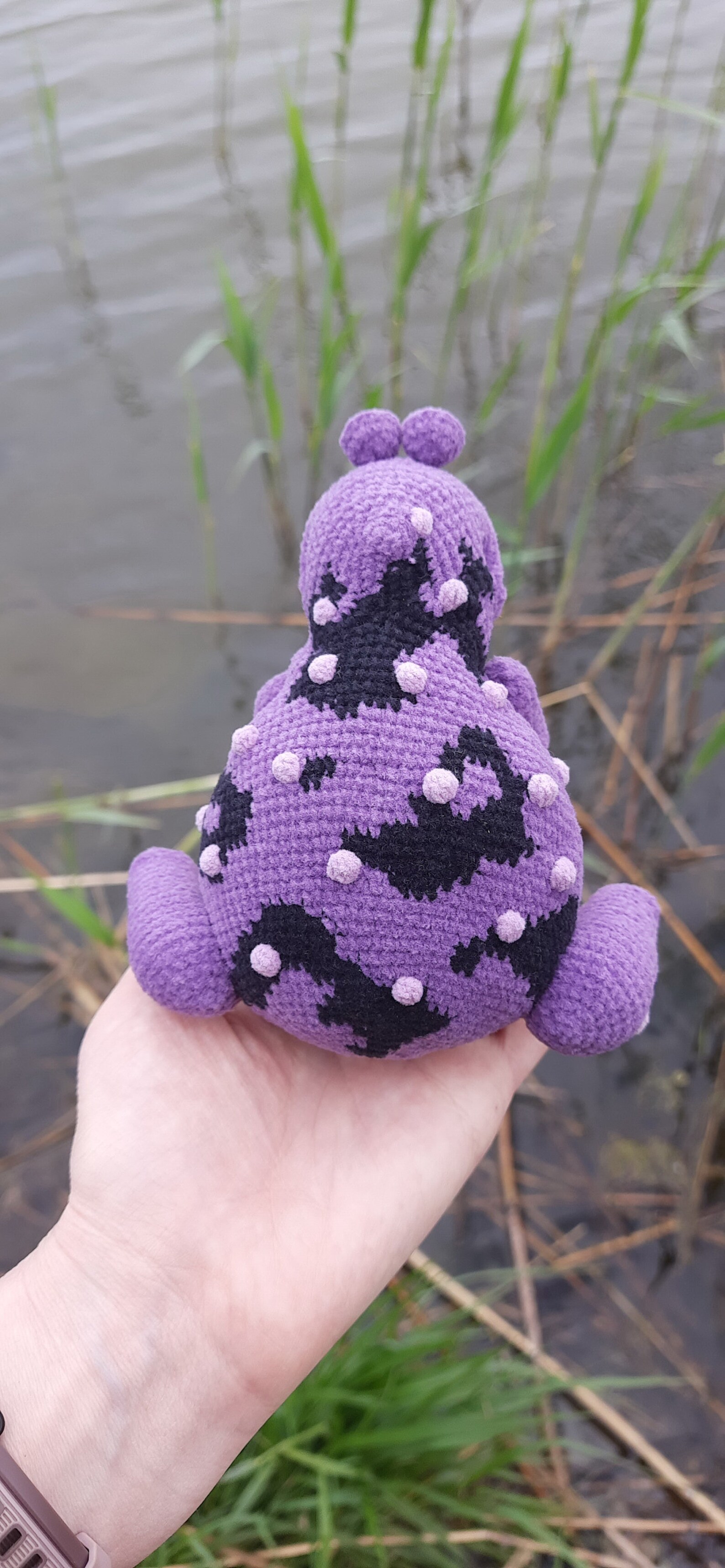 Funny Toad Crazy Frog Crochet Funny Toad Crochet Animals Funny - Etsy