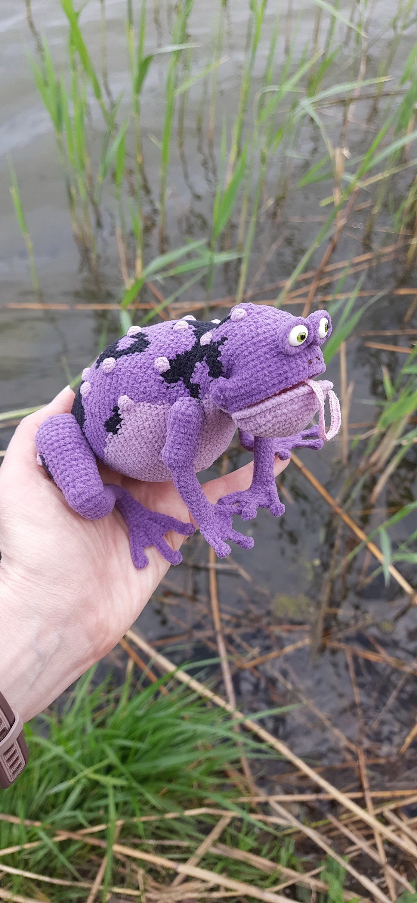 Funny Toad Crazy Frog Crochet Funny Toad Crochet Animals Funny | Etsy