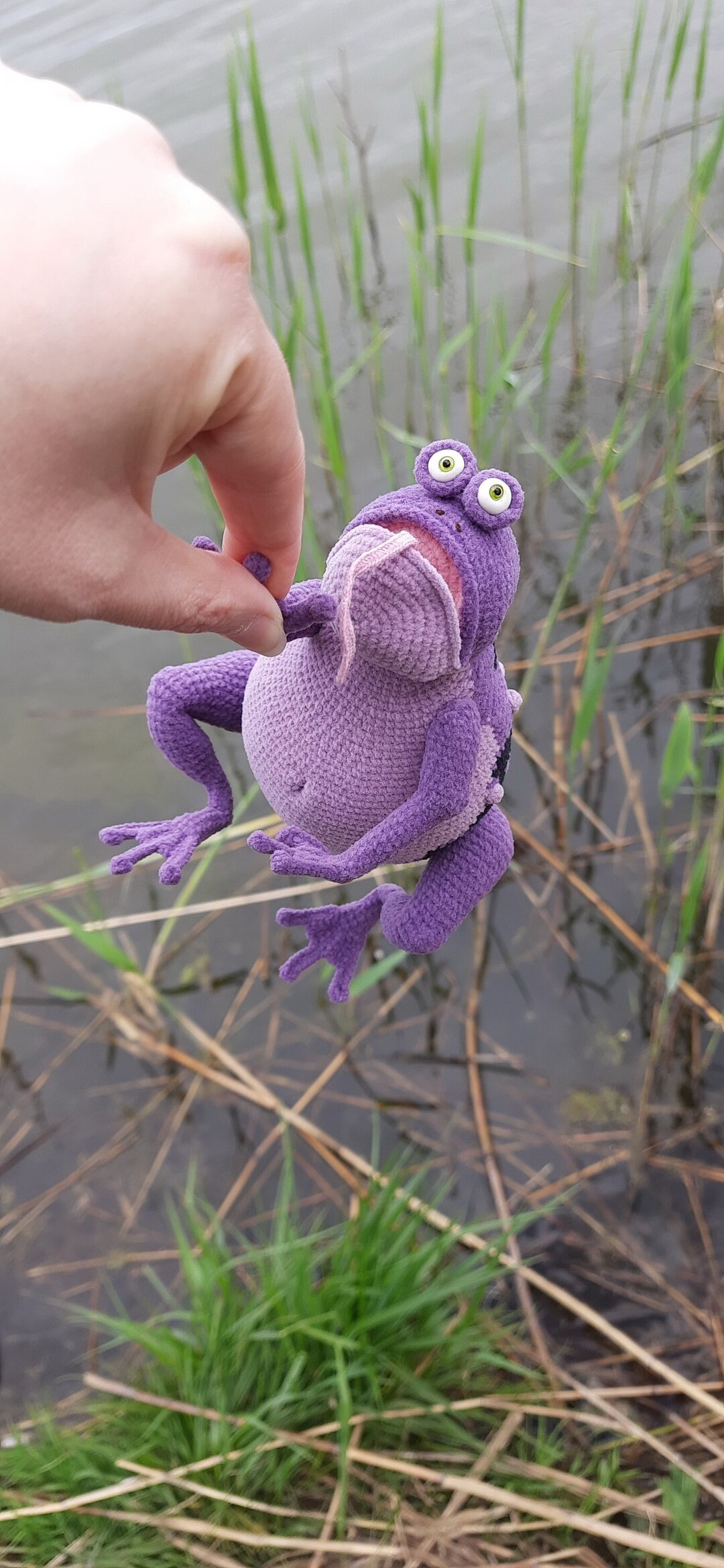 Funny Toad Crazy Frog Crochet Funny Toad Crochet Animals Funny Gift ...