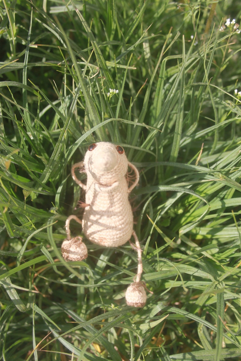 Funny Flea Amigurumi Häkel Crochet Flea Pattern Tutorial - Etsy