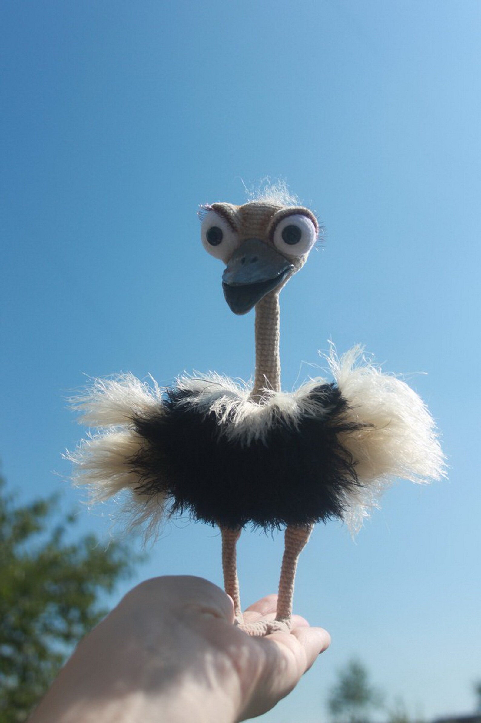 Ostrich Pattern Amigurumi Häkel Crochet Ostrich Tutorial Funny - Etsy