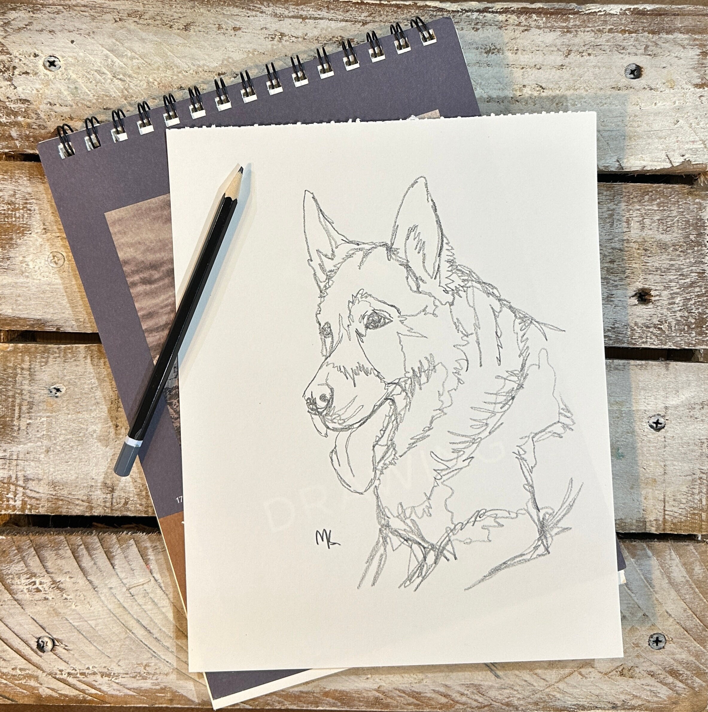 German Shepherd - Single Line Drawing - Day 5.2 - 8X10” Sketch - Etsy