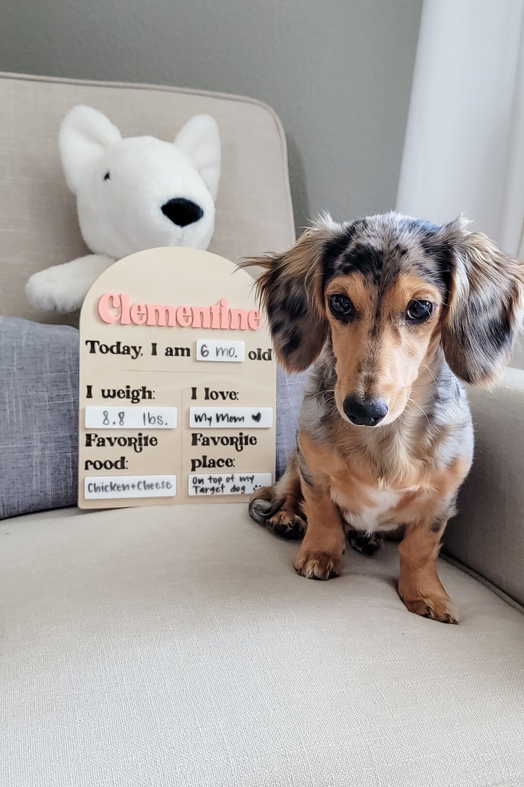 Personalized Milestone Chart for Pet Magnetic | Puppy Growth Chart ...