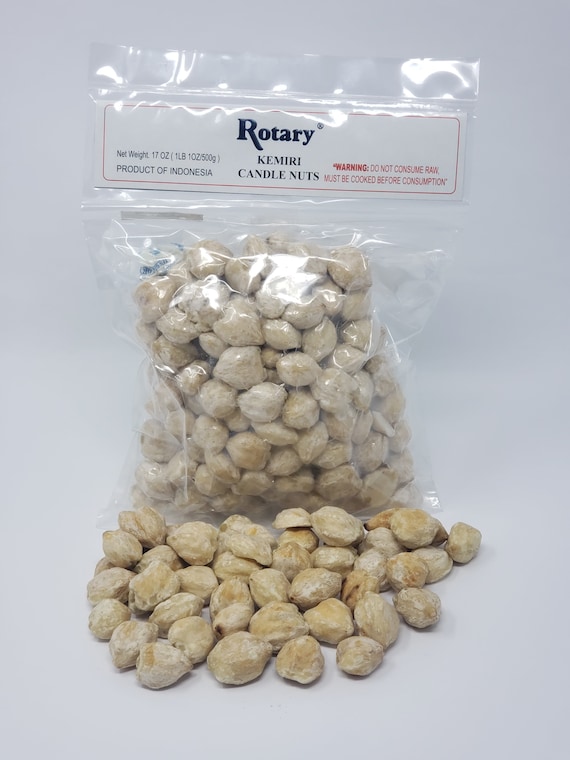 Candlenut Kukui Nut 1 lb 10 oz 500 g Aleurites Moluccanus | Etsy