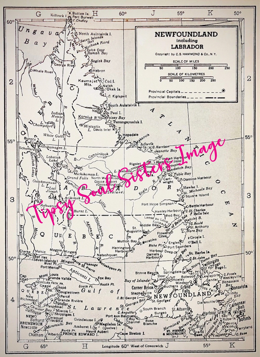 Vintage Newfoundland Map Image/background Instant Digital Download - Etsy