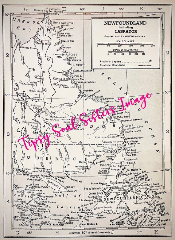 Vintage Newfoundland Map Image/background Instant Digital | Etsy