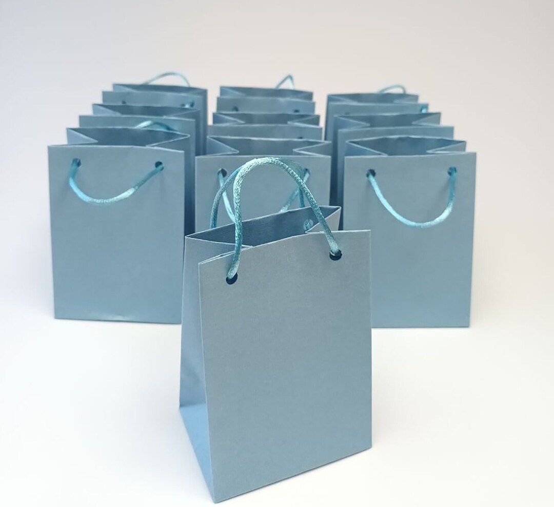 Light Blue Paper Bag: Small, Gift Wrap for Birthday, Baby Shower ...