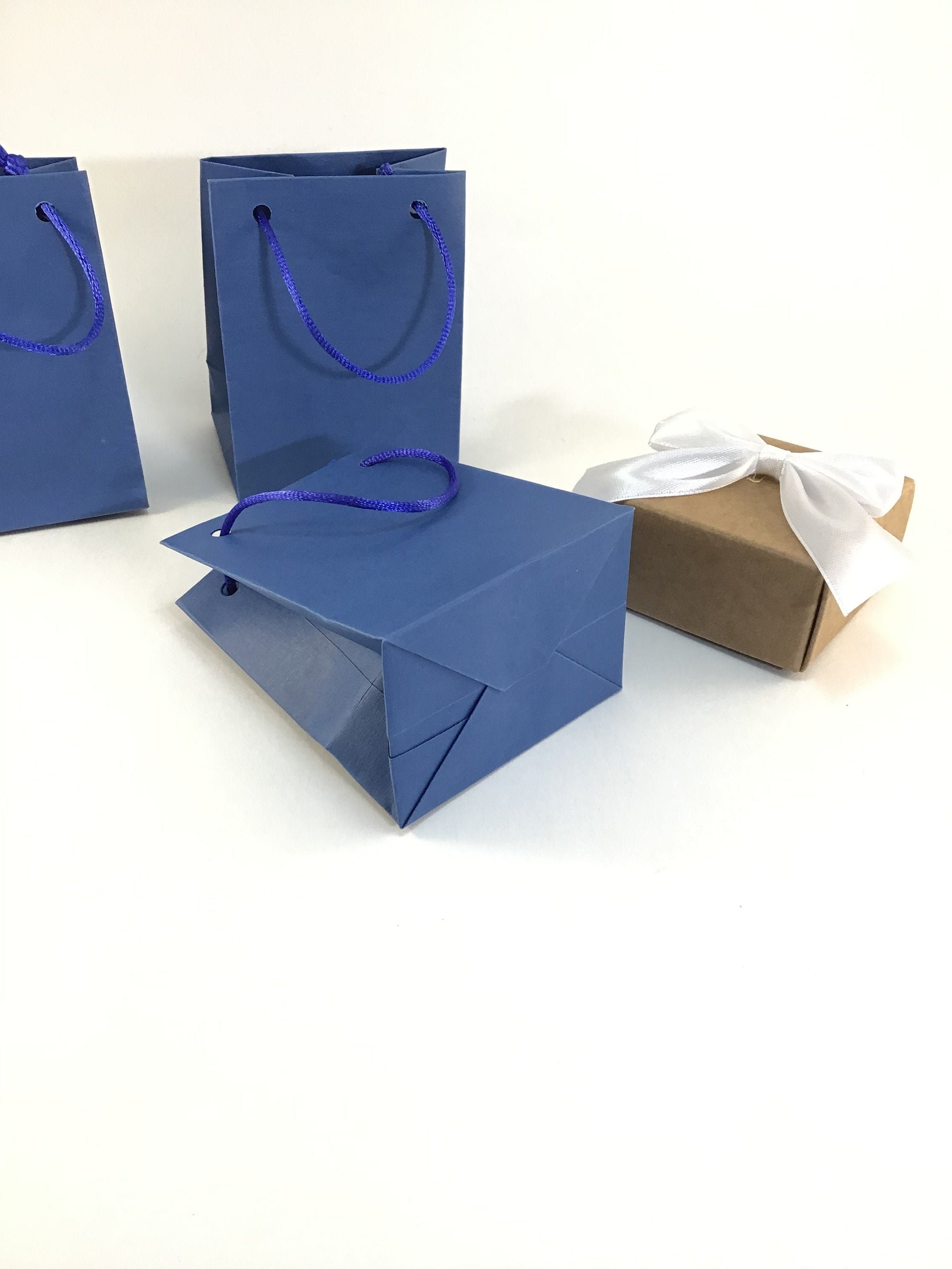 10 Blue Extra Small Gift Paper Bag With Rope Handles Matte - Etsy