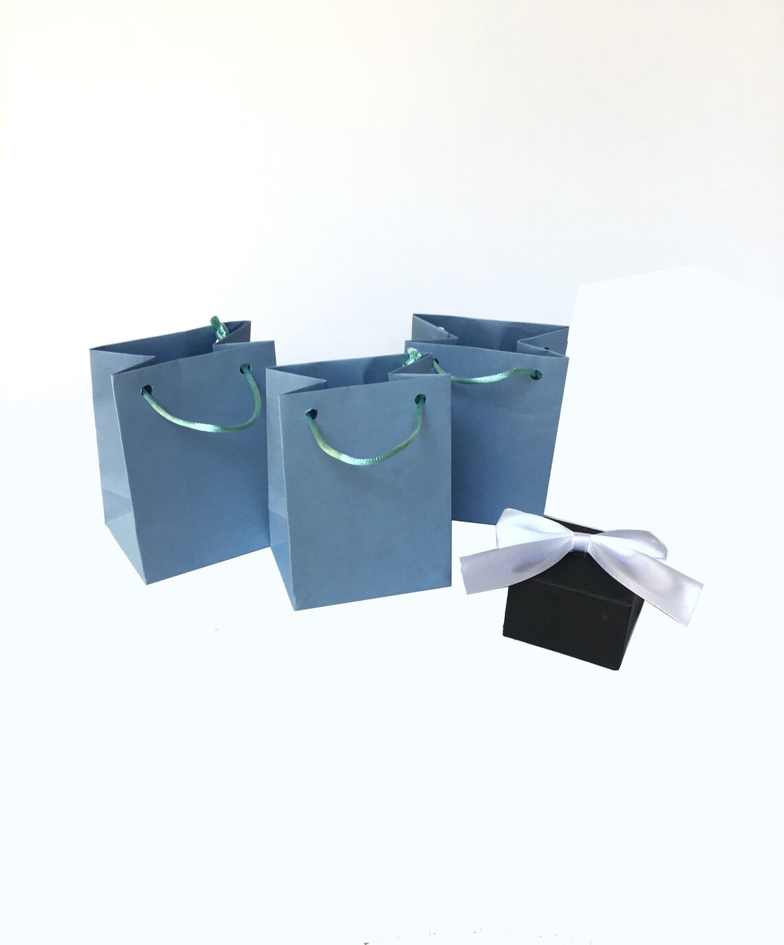 10 Light Blue Mini Paper Bag With Rope Handles Matte Paper - Etsy
