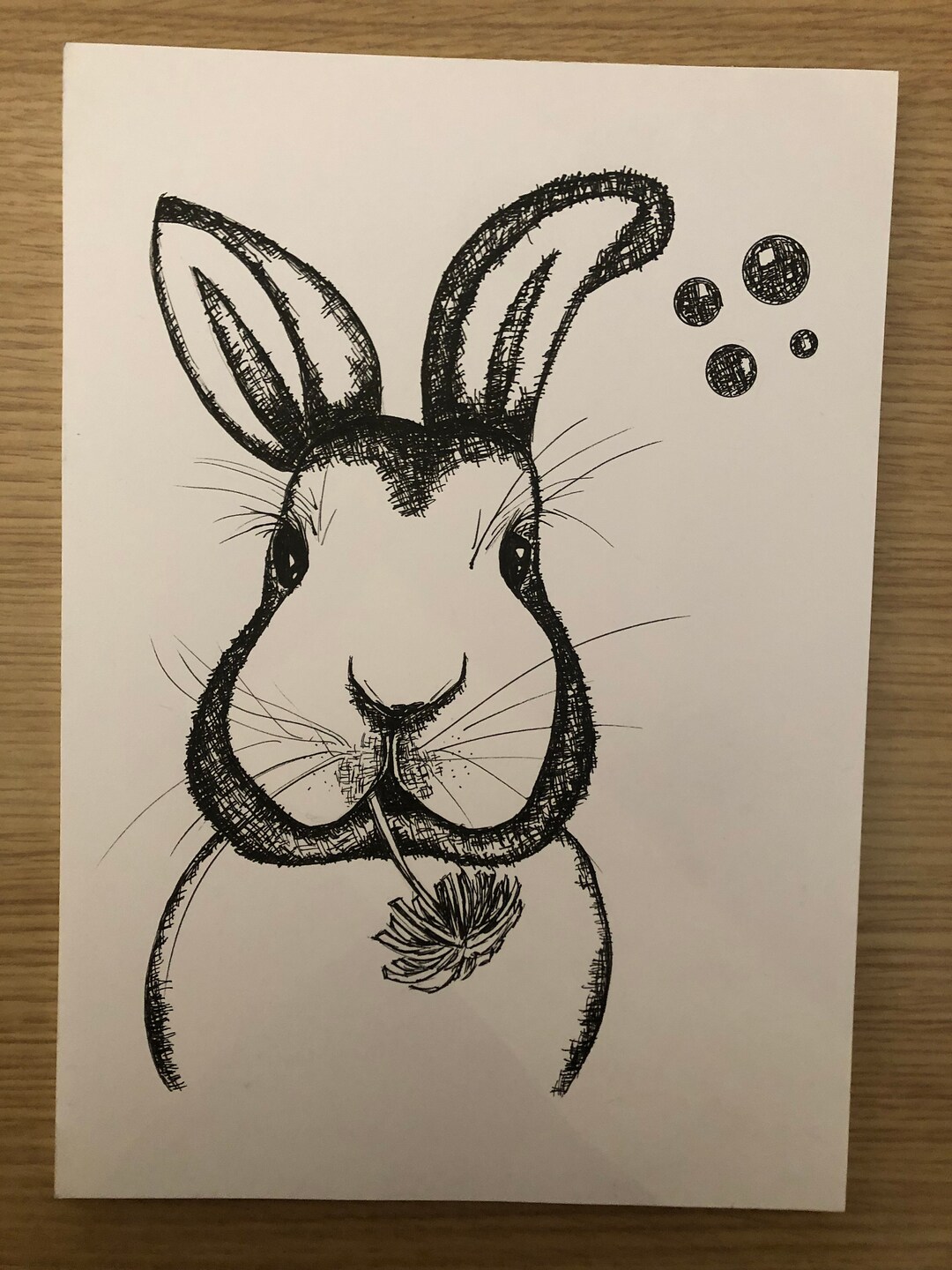 Ink Drawing Rabbit mr. Black Rabbit Rabbit Picture Easter Bunny ...