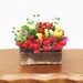Miniature Colorful Flowers Miniatures Plant Dollhouse | Etsy