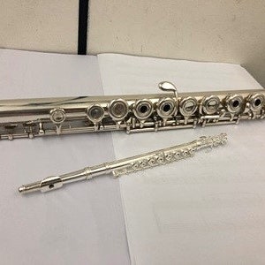 Miniature Flute Musical Instrument Model Brass Instrument Model ...