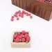Miniature Radish(10pcs) Miniature Food Miniature Vegetable Dollhouse ...