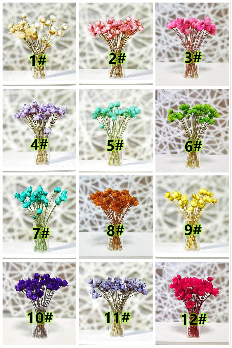 Miniature Colorful Flowers Miniatures Glass Vase Dollhouse - Etsy