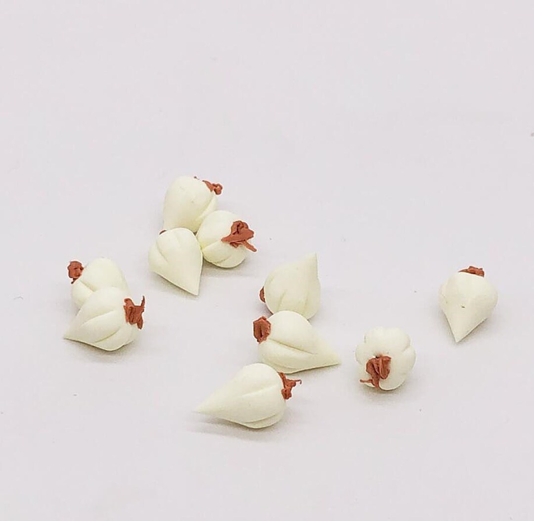 Miniature Garlic(10pcs) Miniature Food Miniature Vegetable Dollhouse ...