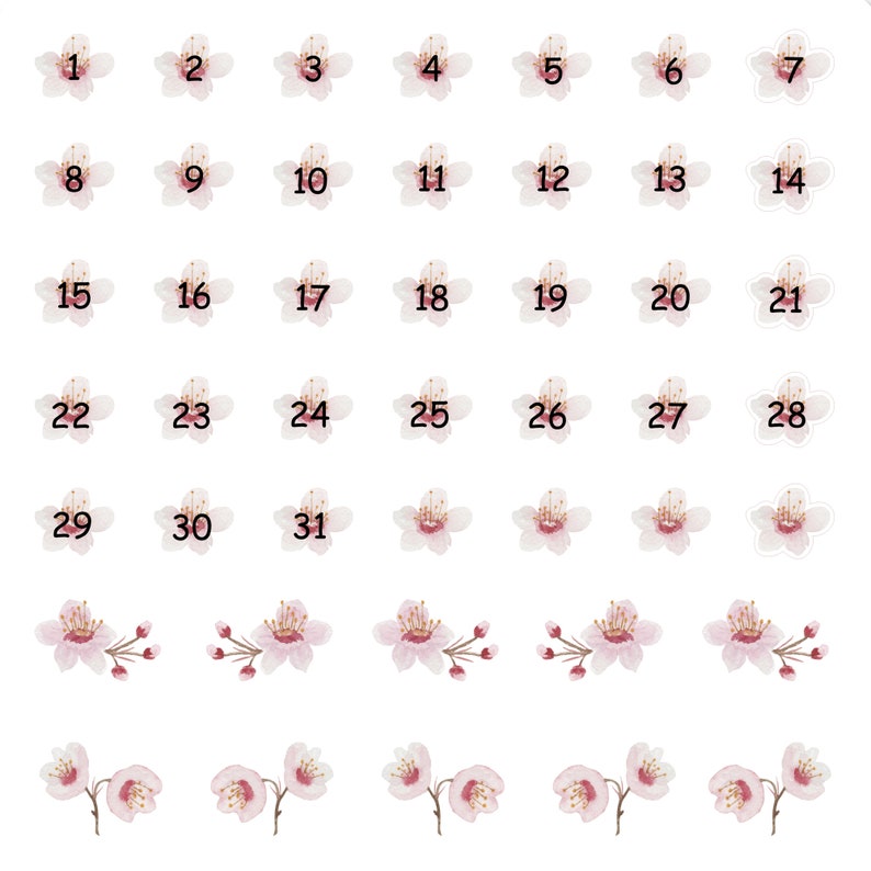 Monthly Planner Stickers Cherry Blossom Monthly Layout Sticker Bundle ...