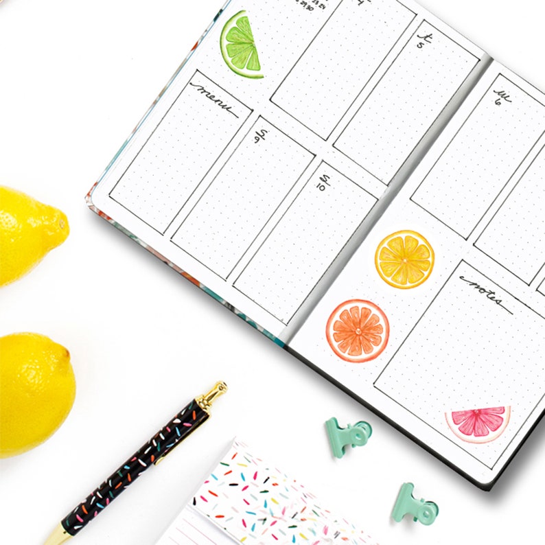 Citrus Bullet Journal Sticker Printable Citrus Bujo Planner - Etsy