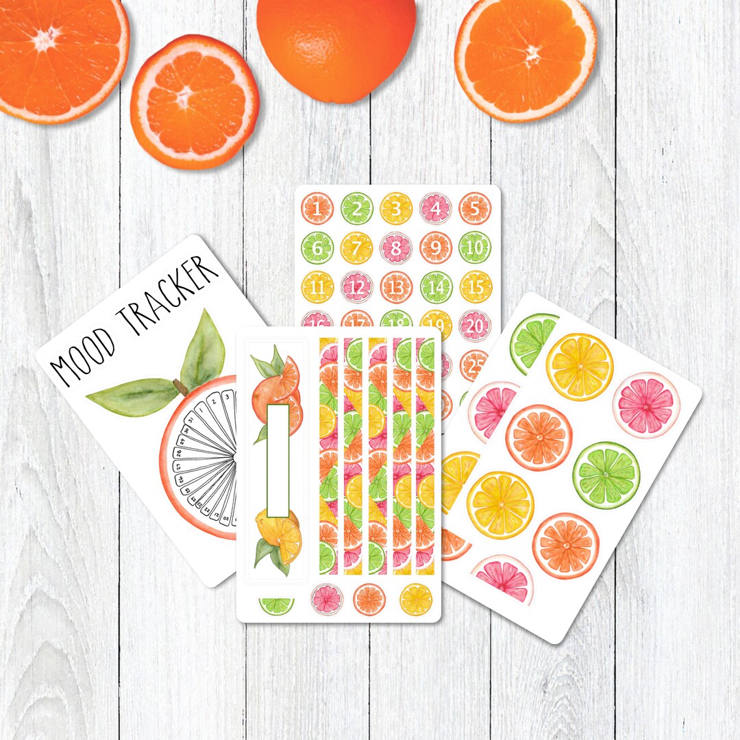 Citrus Planner Sticker Set Citrus Monthly Planner Layout Stickers ...