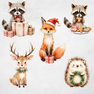 Christmas Woodland Animals Clipart, 15 Watercolor Pngs, Holiday ...