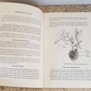 Vintage Taro (kalo) Uses and Recipes Na Lima Kokua (1977) - Etsy