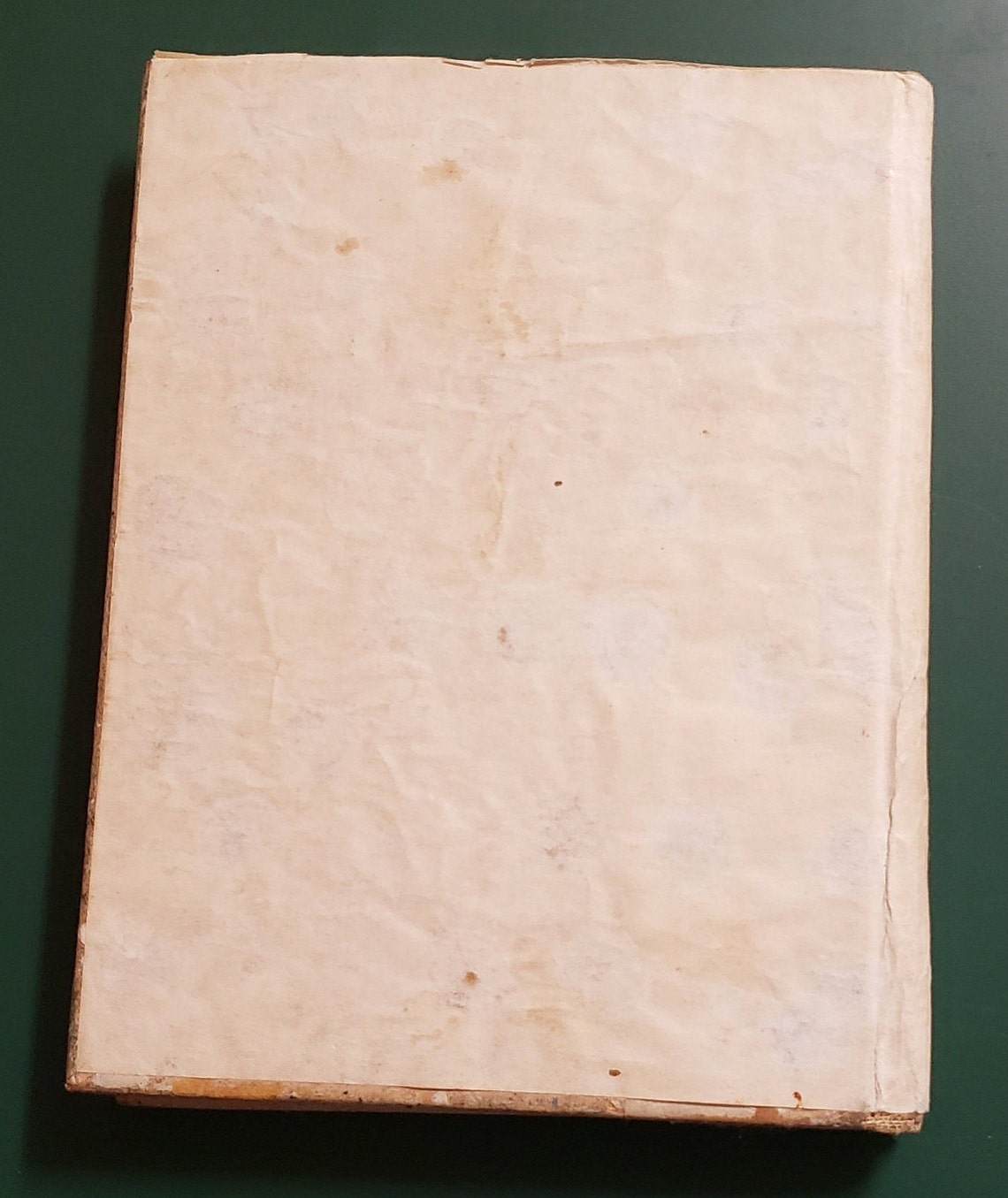 Vintage Blue Ribbon Cookbook for Everyday Use in Western Homes Twenty ...