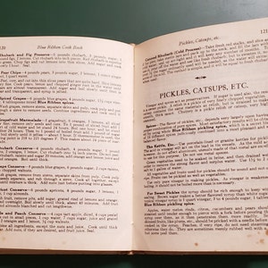 Vintage Blue Ribbon Cookbook for Everyday Use in Western Homes Twenty ...
