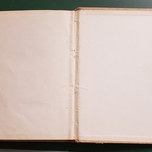 Vintage Blue Ribbon Cookbook for Everyday Use in Western Homes Twenty ...