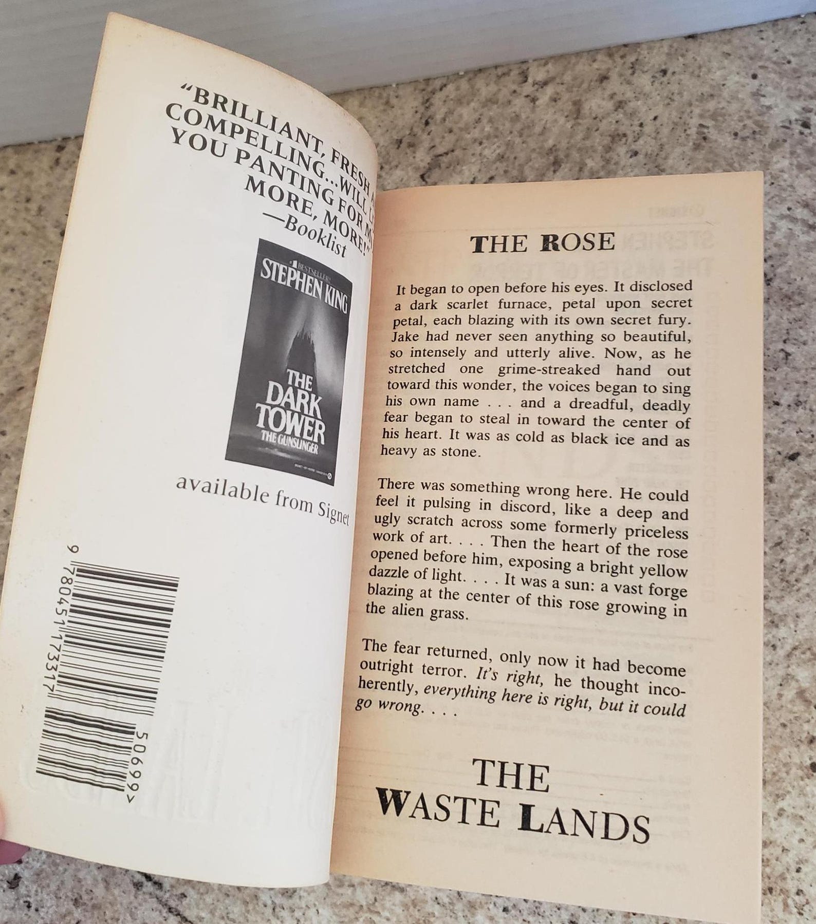 Vintage Stephen King the Waste Lands Dark Tower III Signet (1993 ...