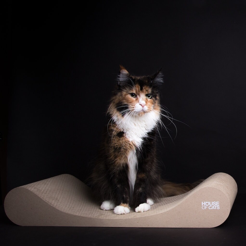 Scratching Post Sofa Eco From House of Cats - Etsy Norway