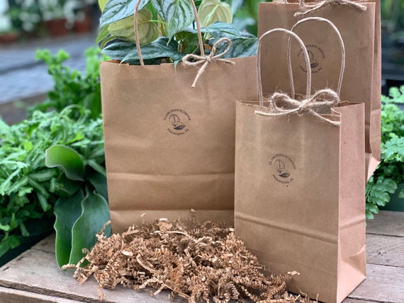 Gift Bag & Crinkle Paper - Etsy