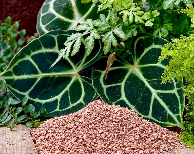 Horticulture Grade Turface MVP | High Fired Calcined Clay Particle - Etsy