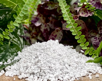 Horticulture Grade Extra Coarse Perlite Grade 4 for Use With Aroids - Etsy