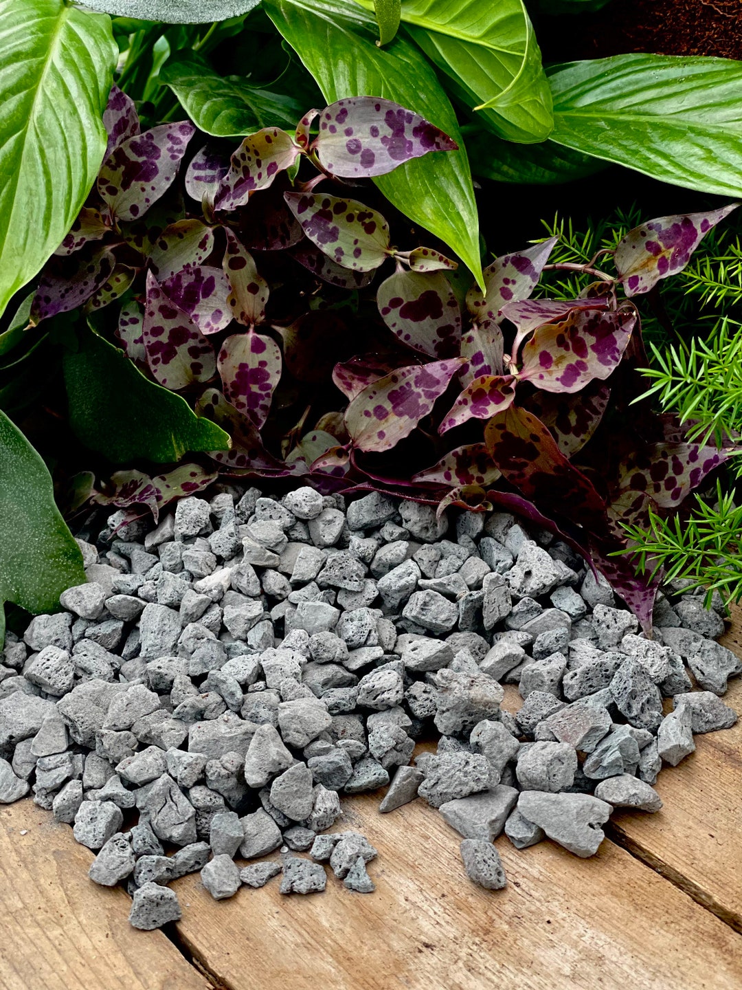 Stalite Slate Aggregate | Media Mix Component - Etsy
