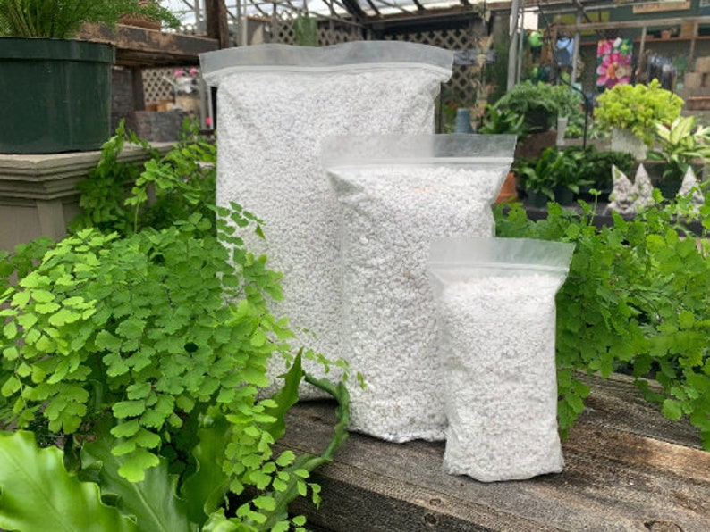 Horticulture Grade Extra Coarse Perlite Grade 4 for Use - Etsy