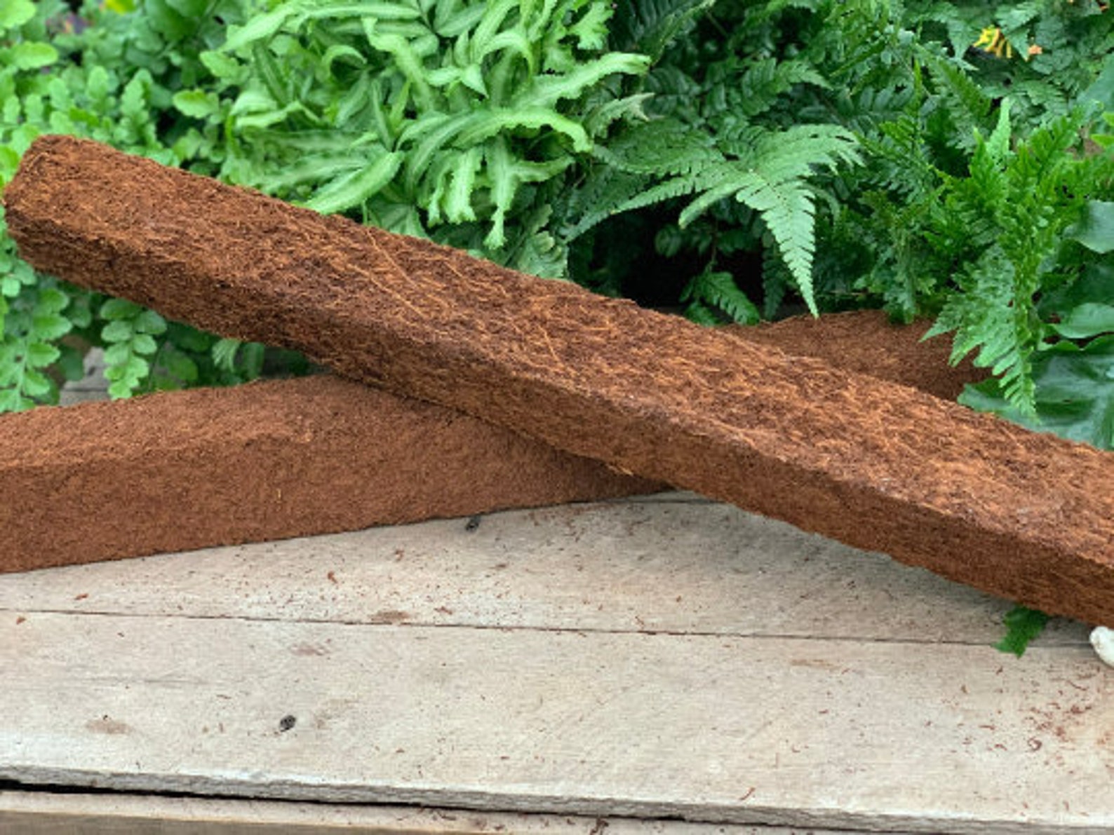 Professional Aroid Climbing Totem - Etsy