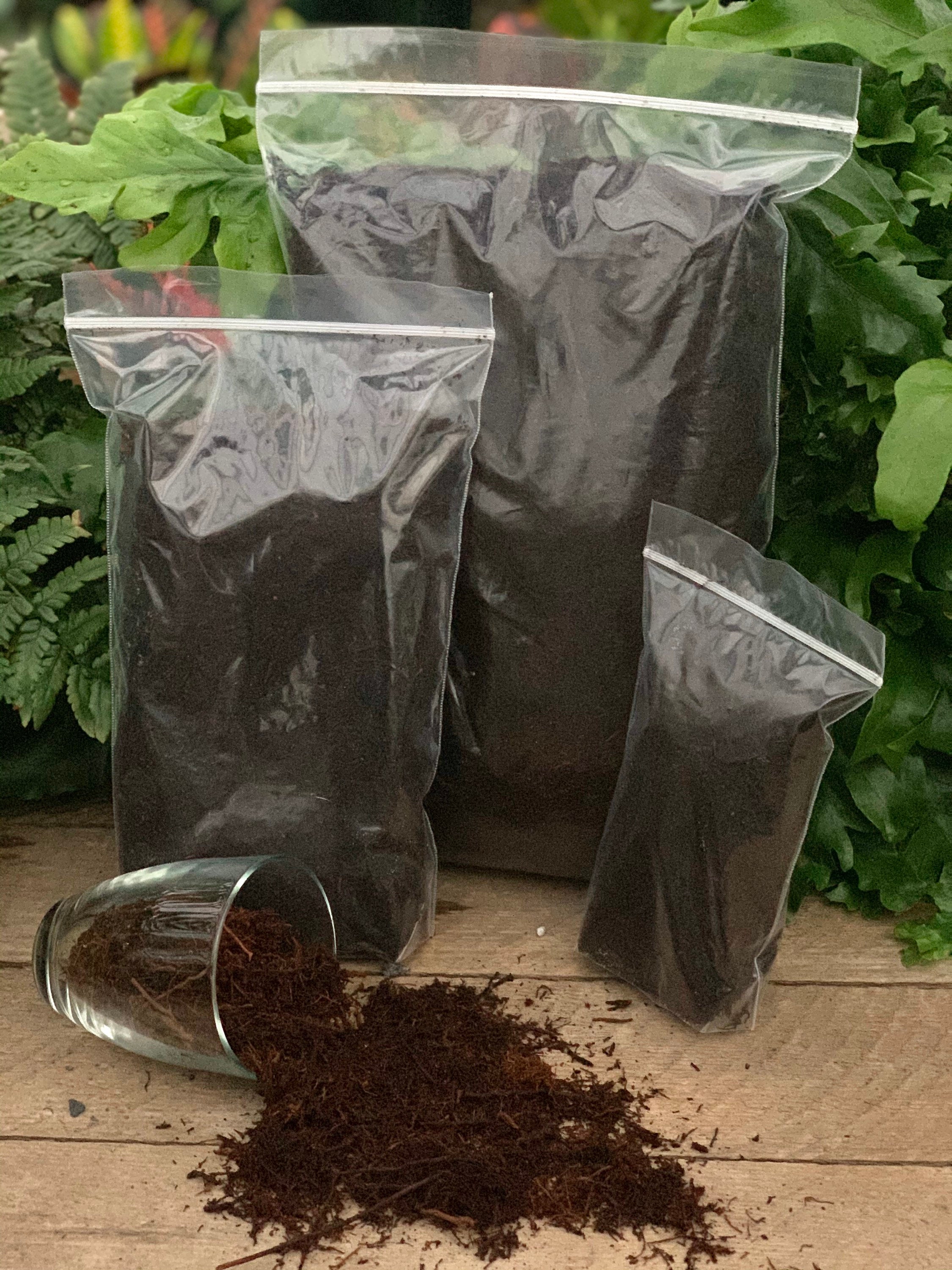 Tree Fern Substrate | Etsy