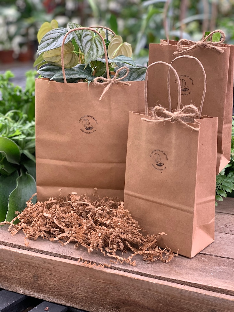 Gift Bag & Crinkle Paper - Etsy