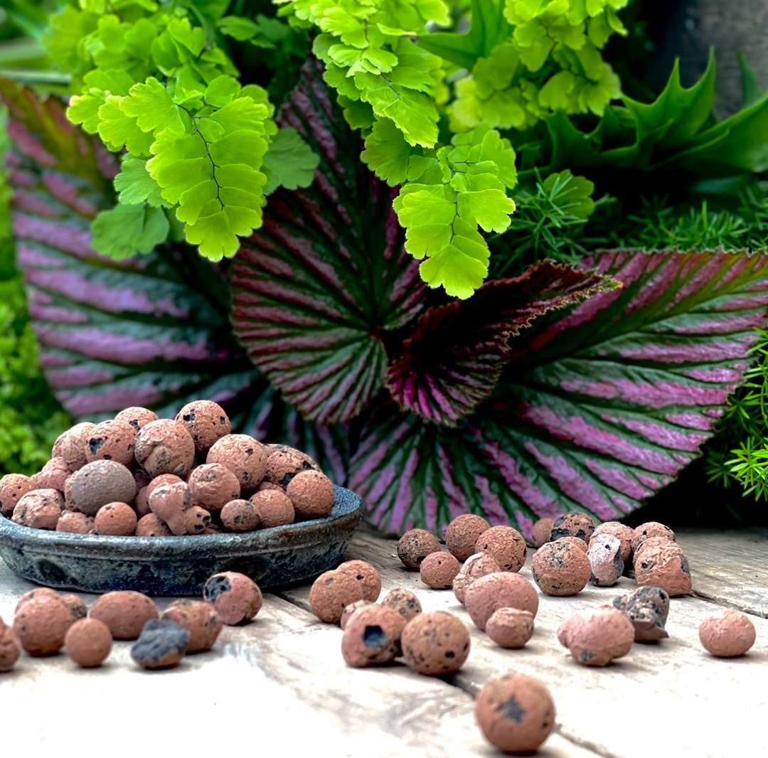 Leca Balls | Expanded Clay Balls | Hydro Balls - Etsy