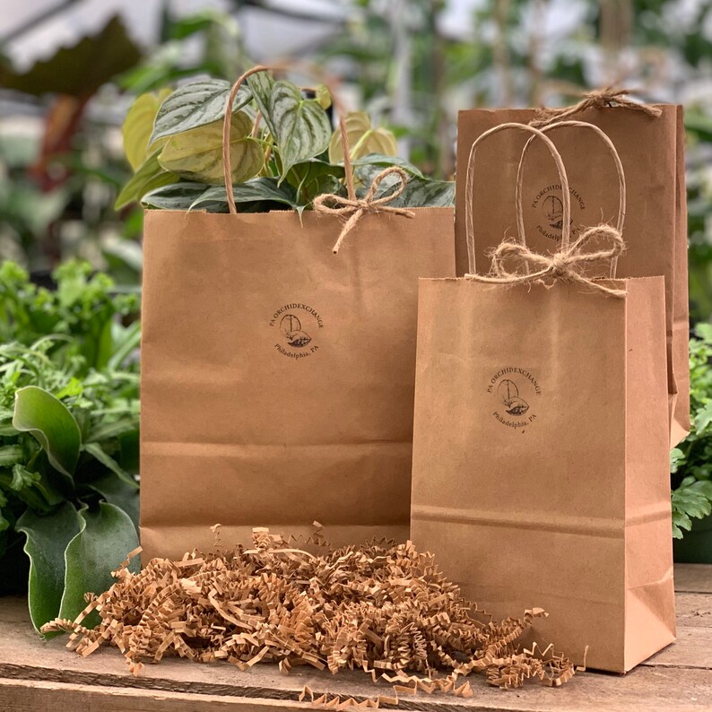 Gift Bag & Crinkle Paper - Etsy