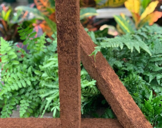 Professional Aroid Climbing Totem - Etsy