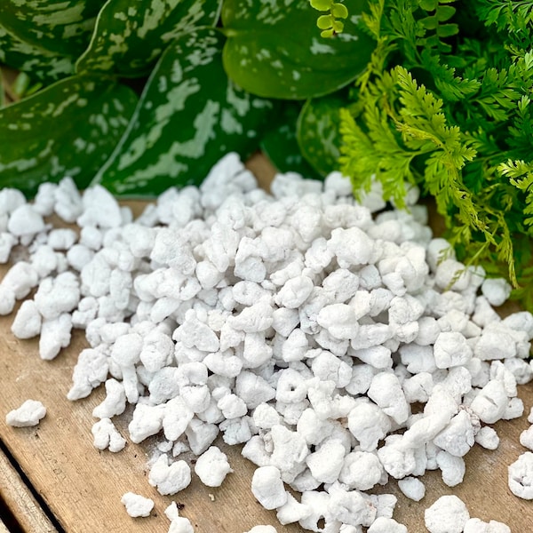 Perlite for Plants - Etsy