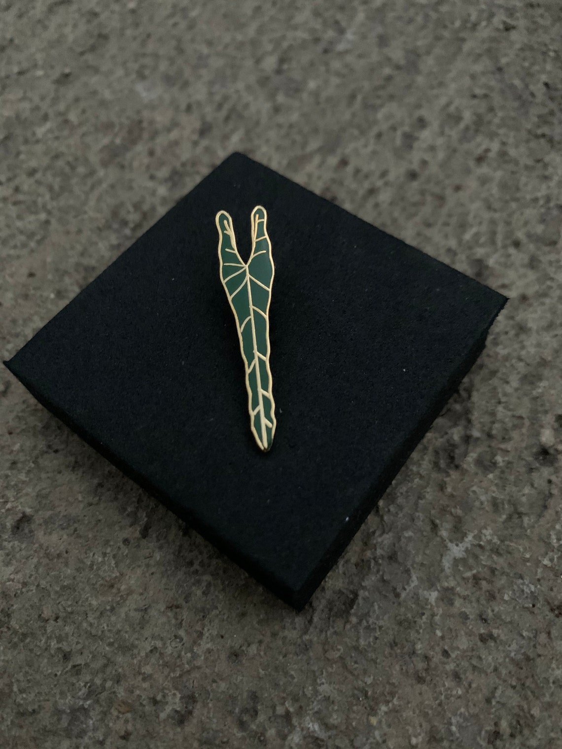 Philodendron Spiritus Sancti Hard Enamel Pin - Etsy