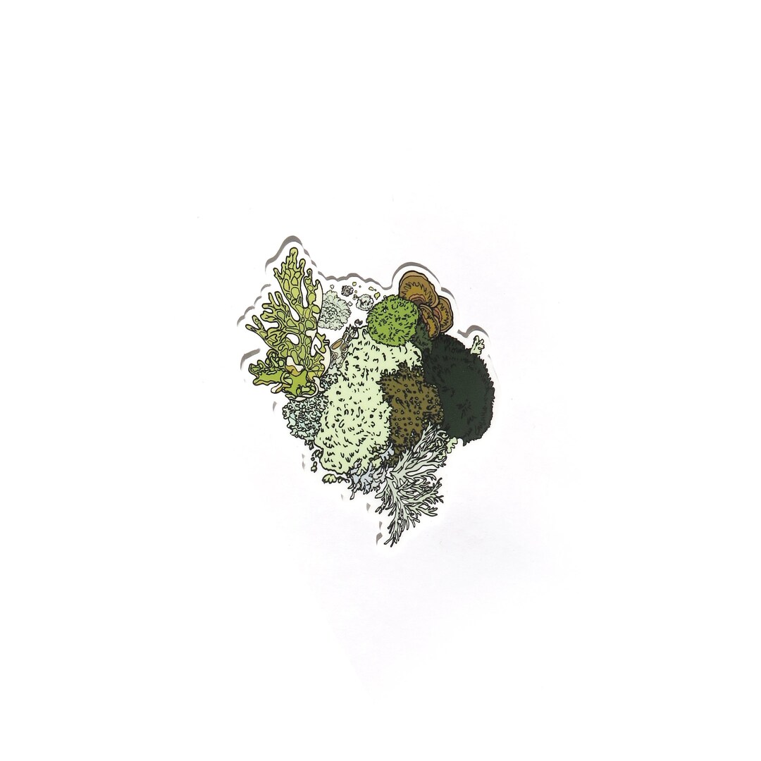 Moss and Lichen Sticker - Etsy