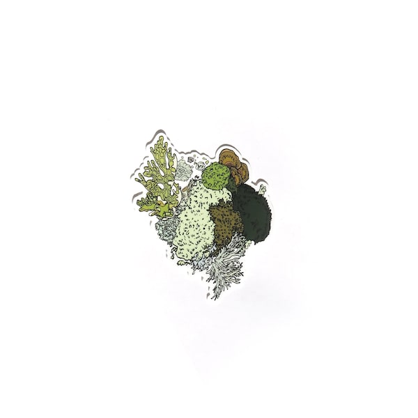 Moss Lichen - Etsy