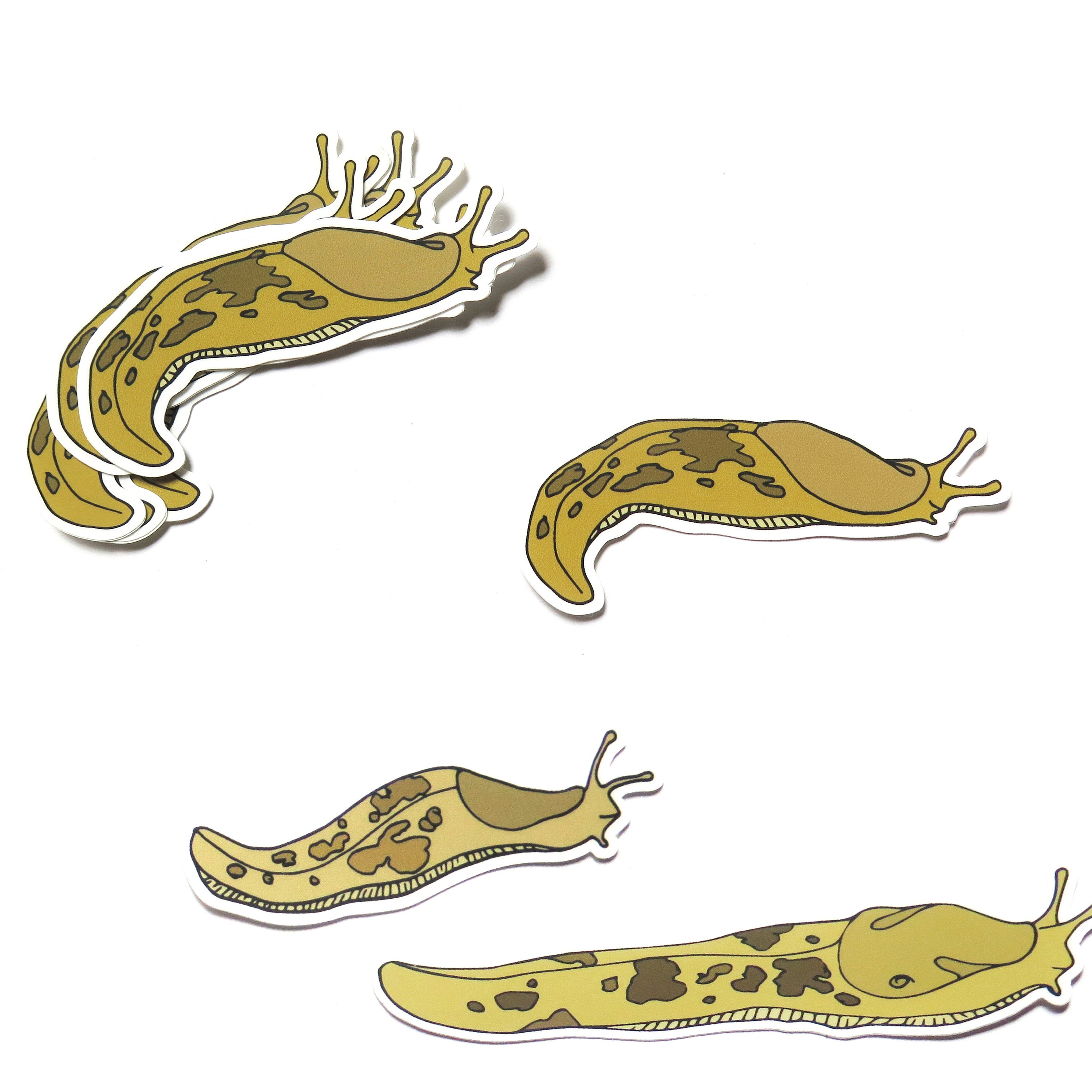 Small Curvy Slug Sticker - Etsy