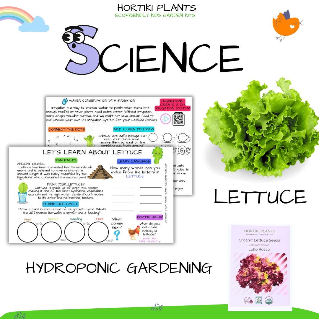 Lettuce Kids Garden STEAM Activity Seed Cards - 5 Pack - Etsy